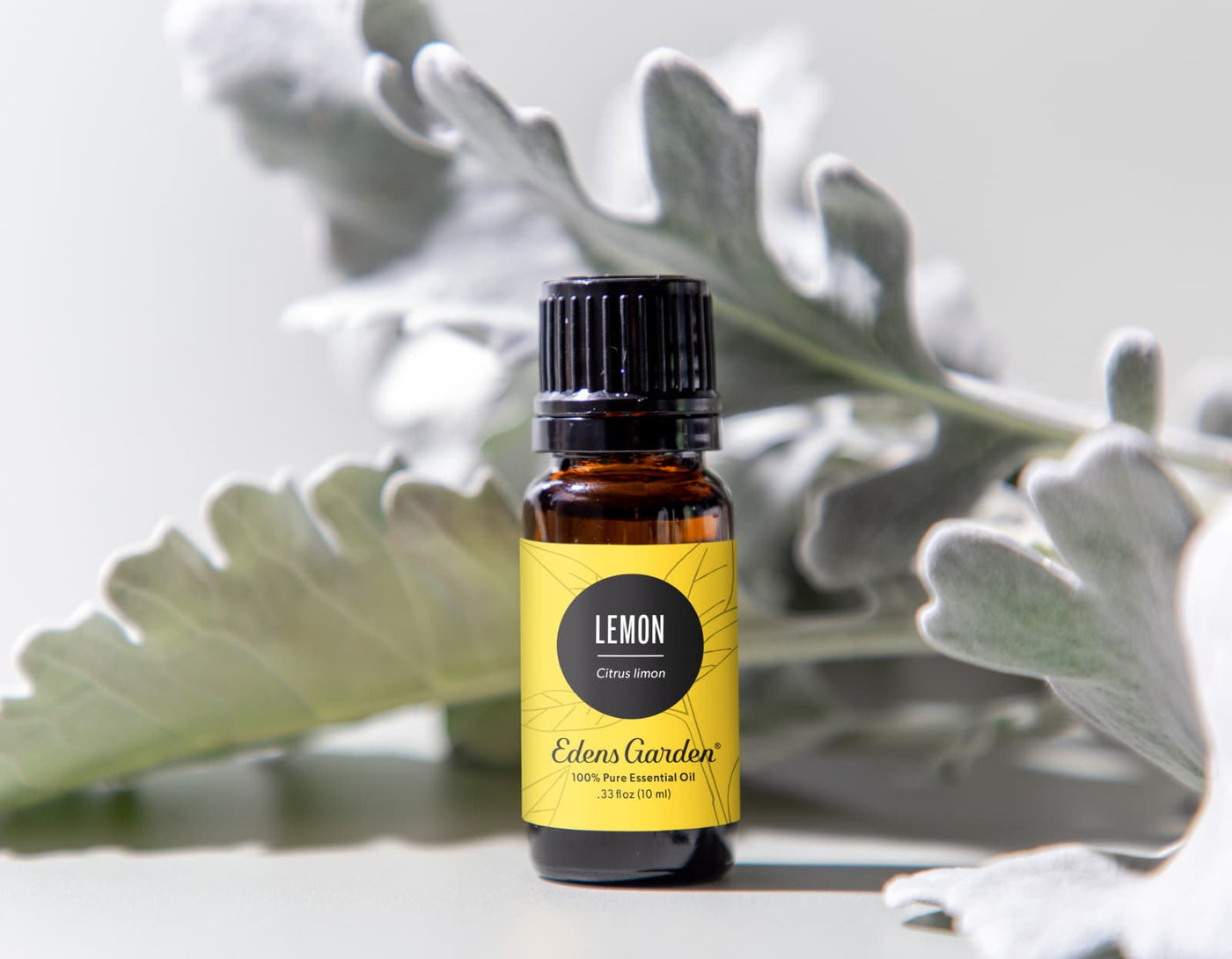 What Are The 10 Most Popular Essential Oils | Edens Garden