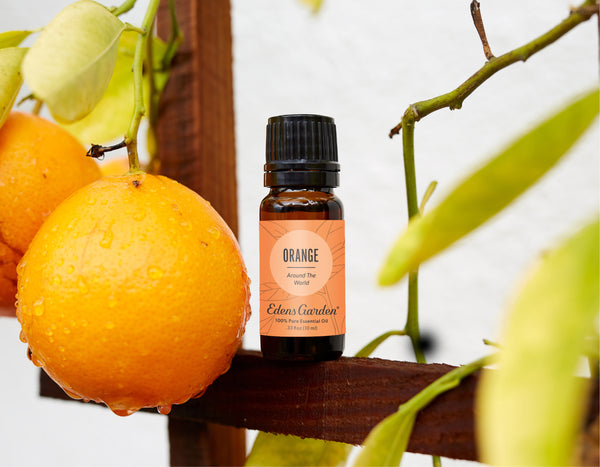 This or That: Orange, Orange and More Orange!