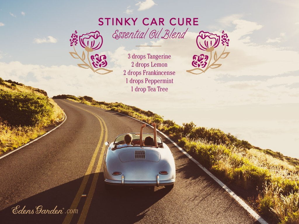 Stinky Car Cure Essential Oil Blend