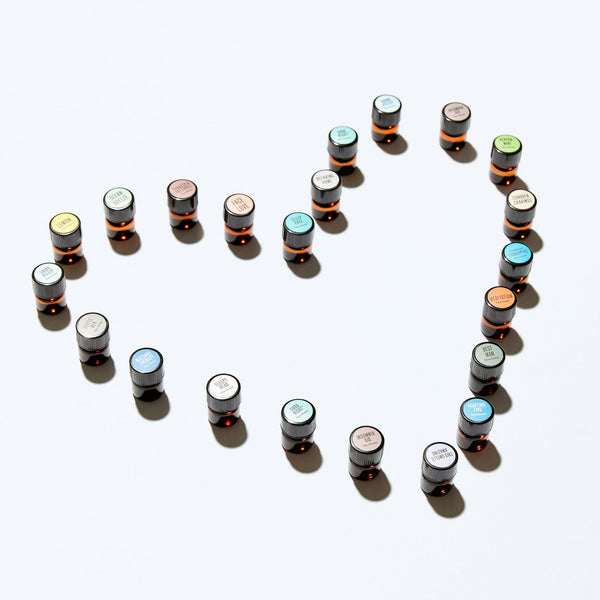 Body Discovery Sampler Set of 6