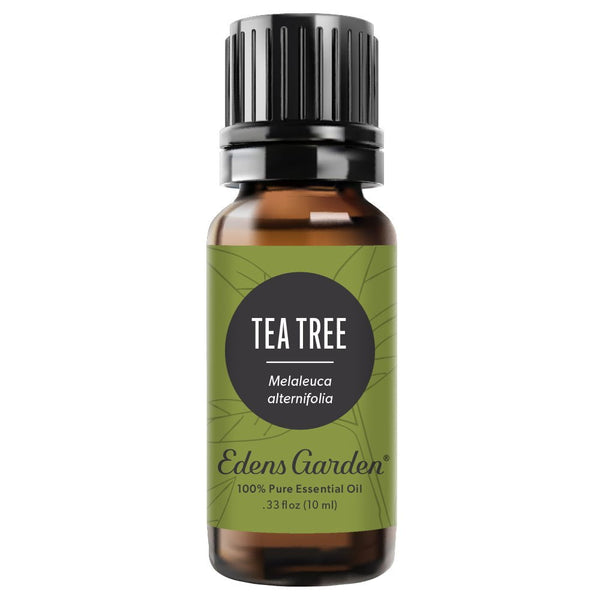 Tea Tree Essential Oil: Benefits & Uses | Edens Garden