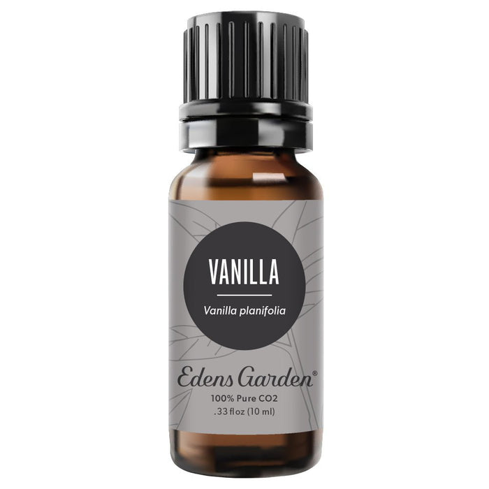 Top 10 Benefits & Uses Of Vanilla Essential Oil- Oleoresin